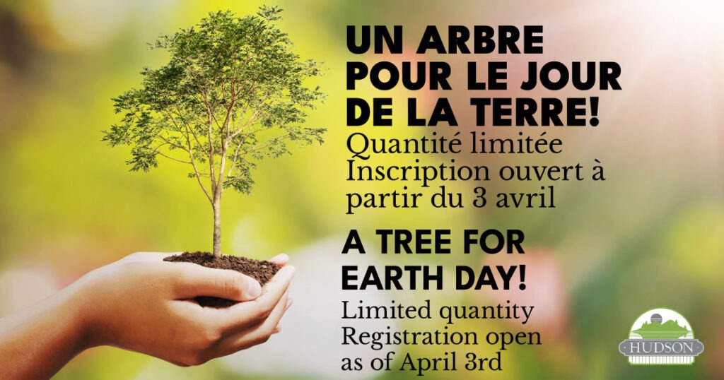 A tree for Earth Day! - Town of Hudson