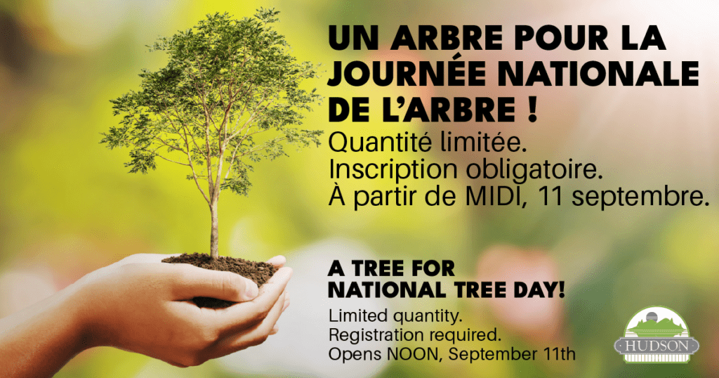 A tree for National Tree Day 2023! - Town of Hudson